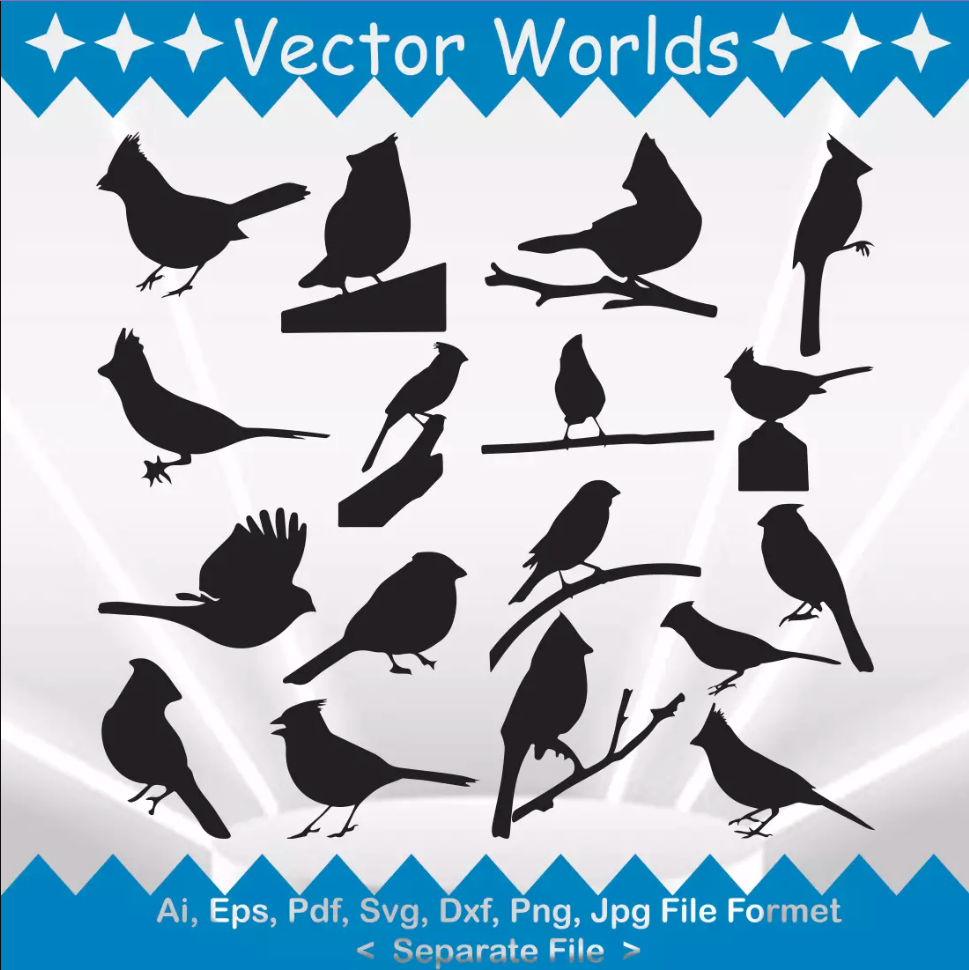Cardinal svg, Cardinals svg, Bird, Birds, SVG, ai, pdf, eps, | Inspire ...
