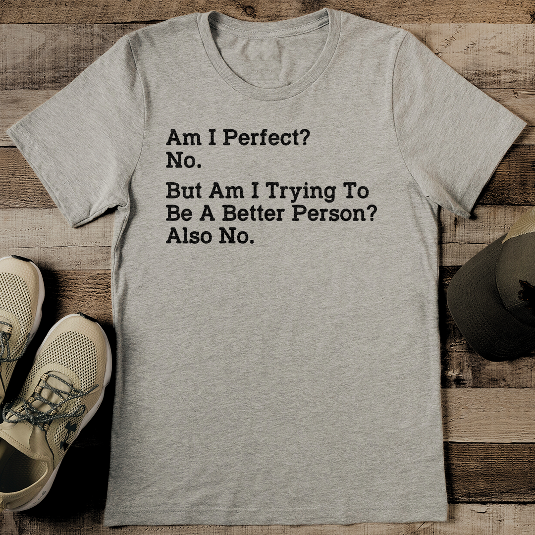 Am I Perfect No But Am I Trying To Be A Better Person Also N | Inspire ...