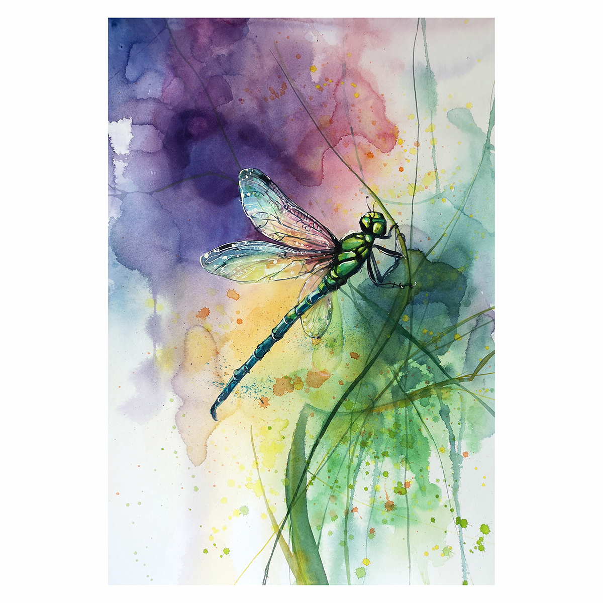 Watercolor Dragonfly