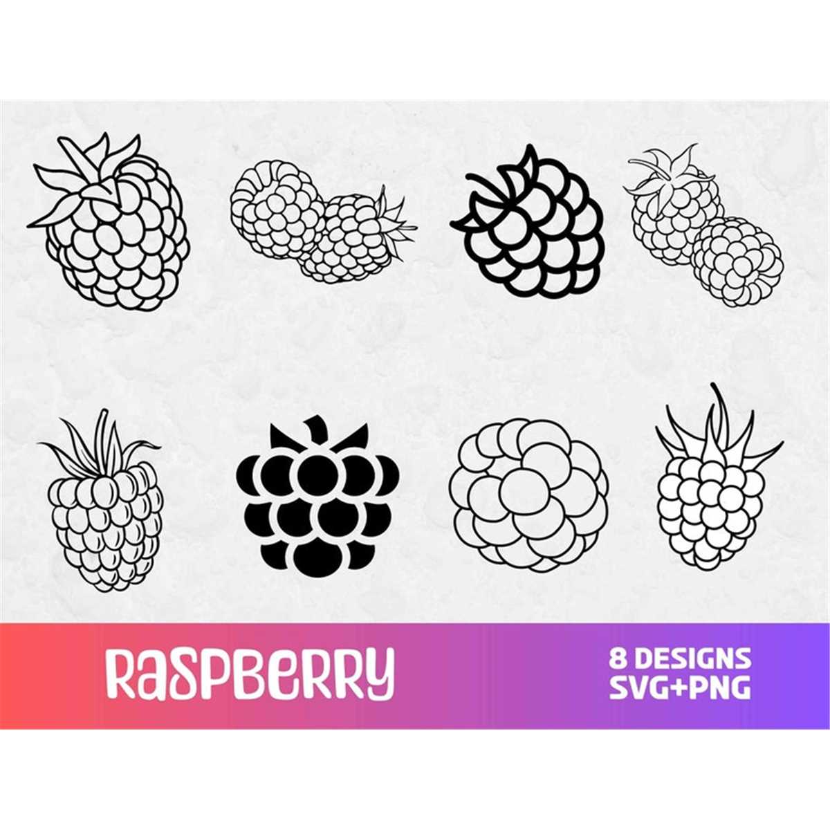 Raspberry Svg, Raspberry PNG, SVG Files for Cricut, SVG Bund | Inspire ...