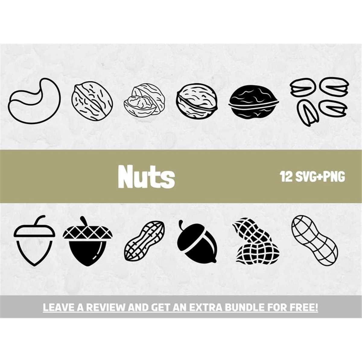 Nuts SVG Bundle, SVG Files for Cricut, Nut clipart, Nature S - Inspire ...