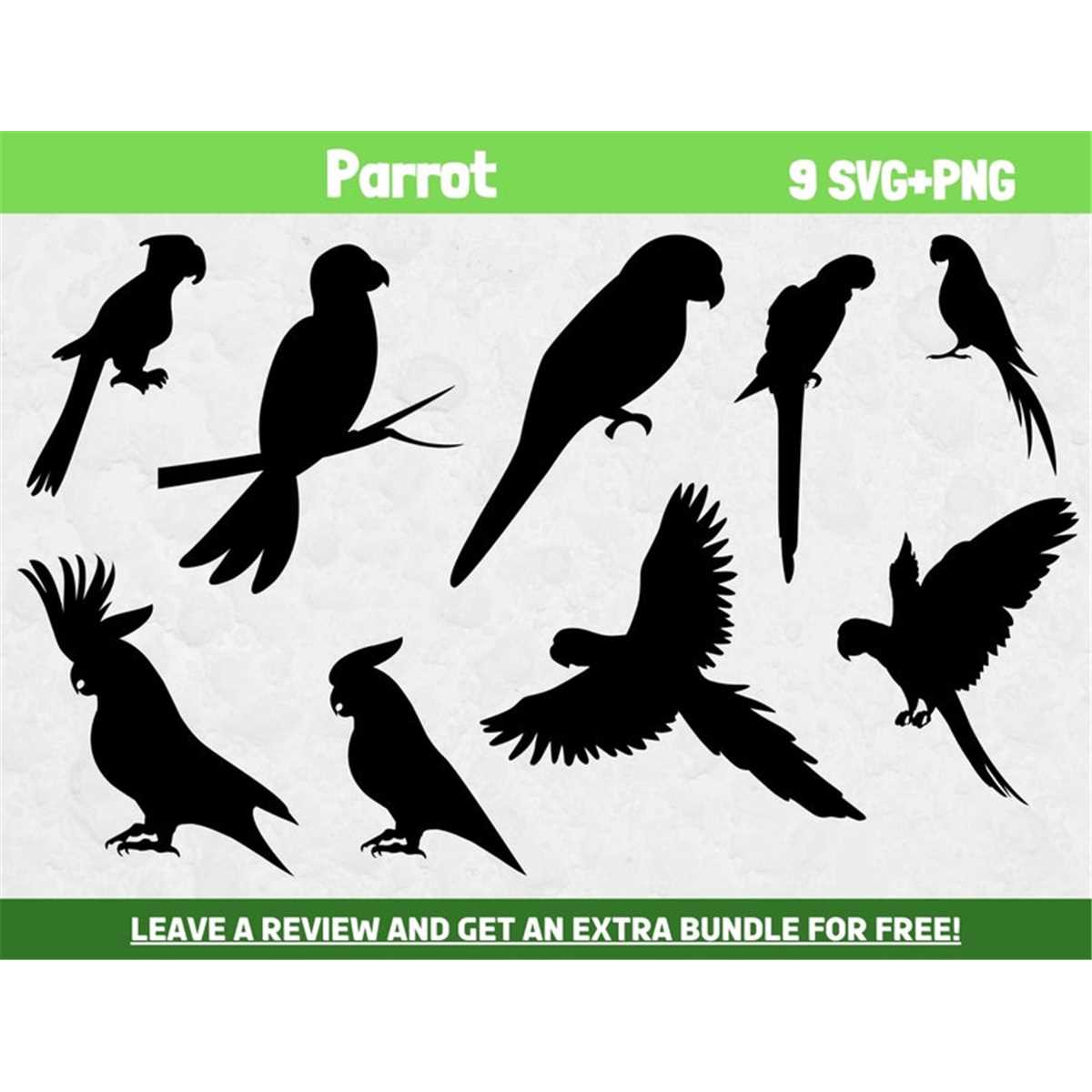 Parrot Svg Bundle, SVG Files for Cricut, Bird Lover, Tropica | Inspire ...