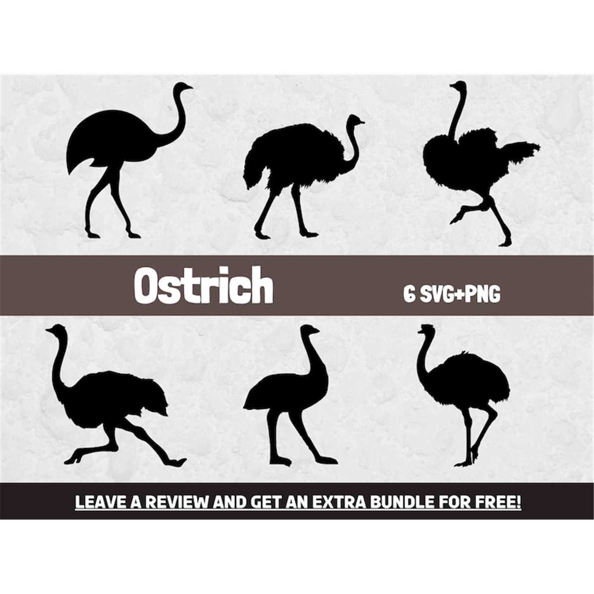 Ostrich Svg, Svg Files for Cricut, Zoo Svg, Nature Svg, Bird | Inspire ...