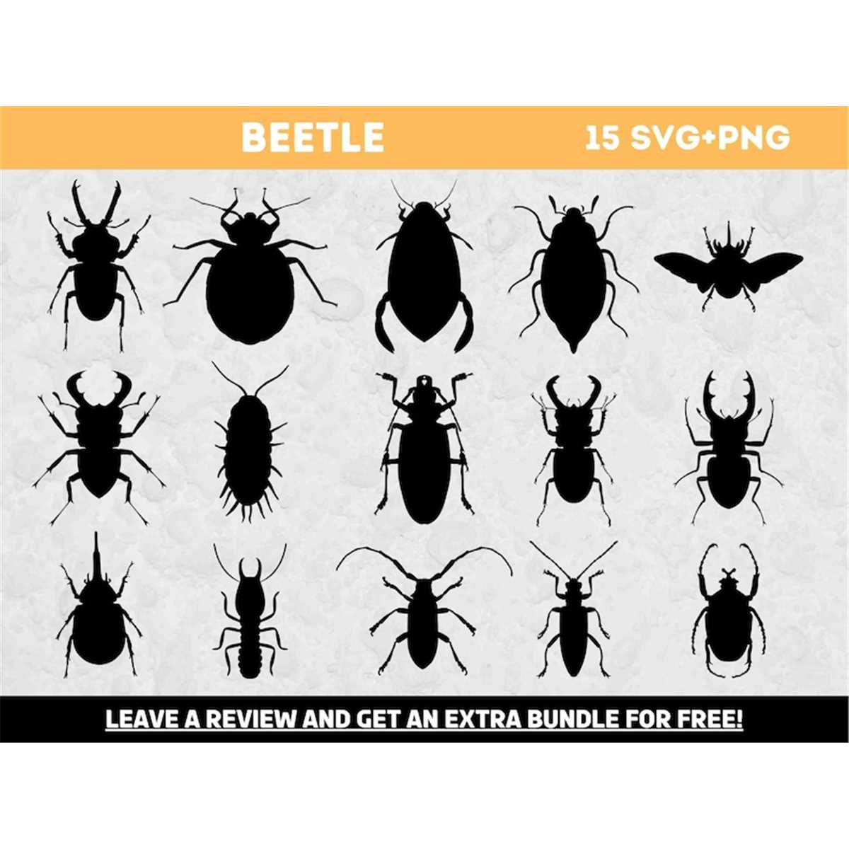 Beetle Files For Cricut Beetle Cut Files Beetle Svg Insect Svg Beetle ...