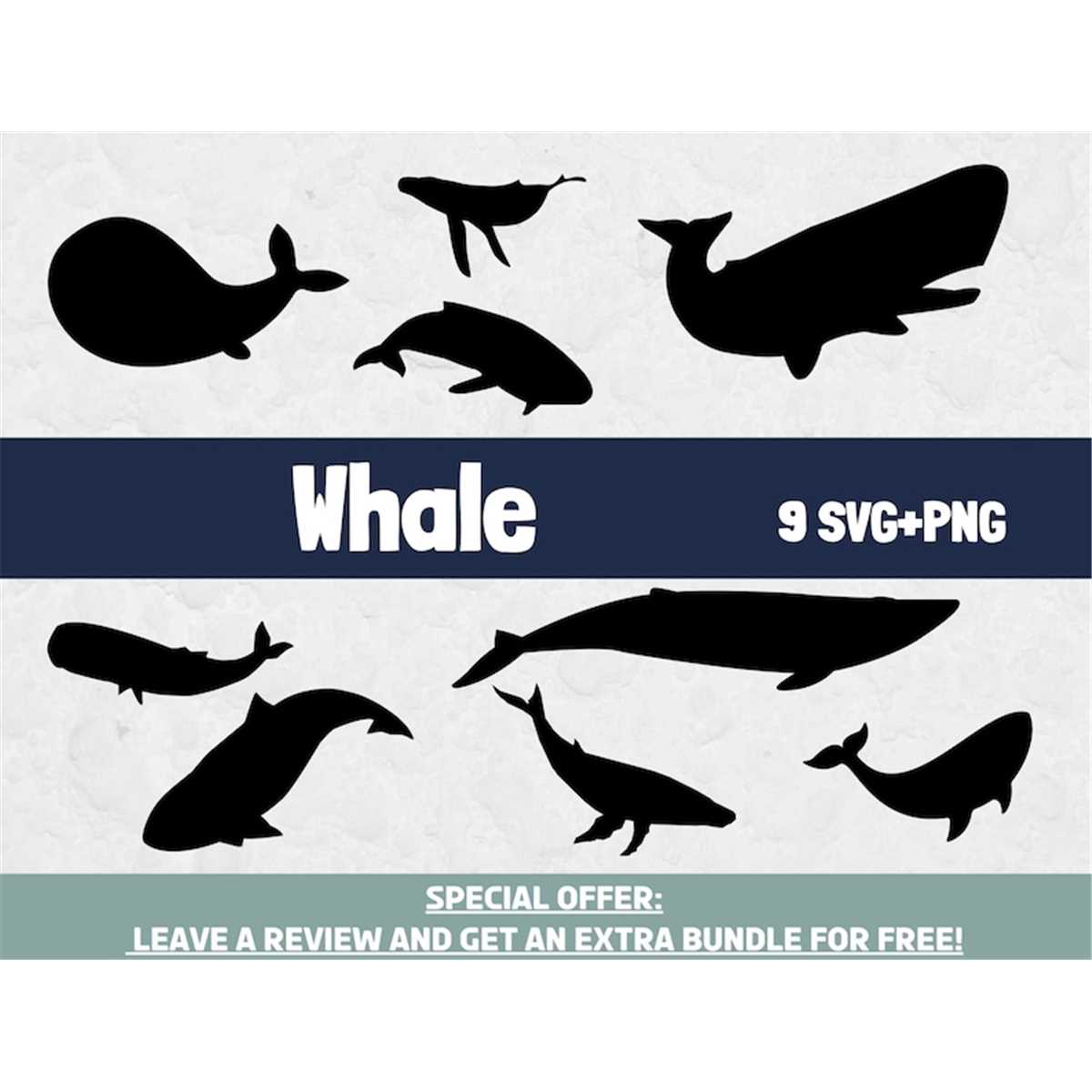 Whale Svg Bundle, Commercial Use SVG, Nautical Svg, SVG file | Inspire ...