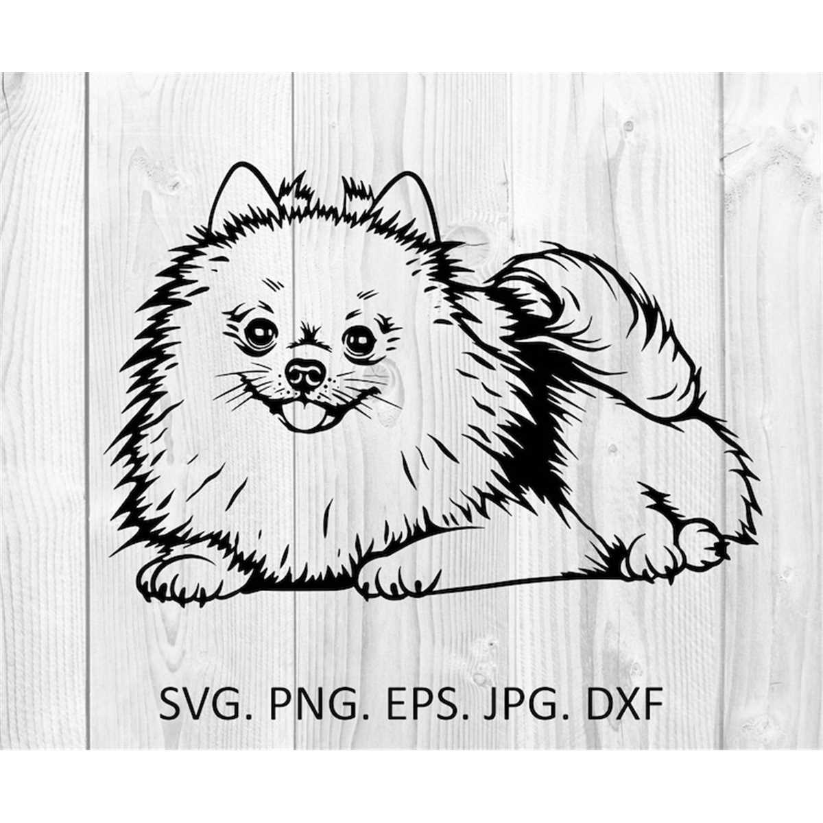 Pomeranian dog Svg,Png file Cricut,Cute body,vector Spitz G | Inspire ...