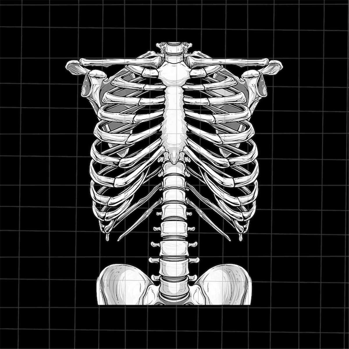 Skeleton Rib Cage Halloween Png, Skeletons Halloween Png, Sk - Inspire ...