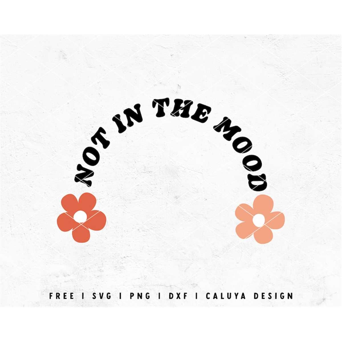 Not In The Mood SVG | Aesthetic SVG | Retro Rainbow SVG | H | Inspire ...