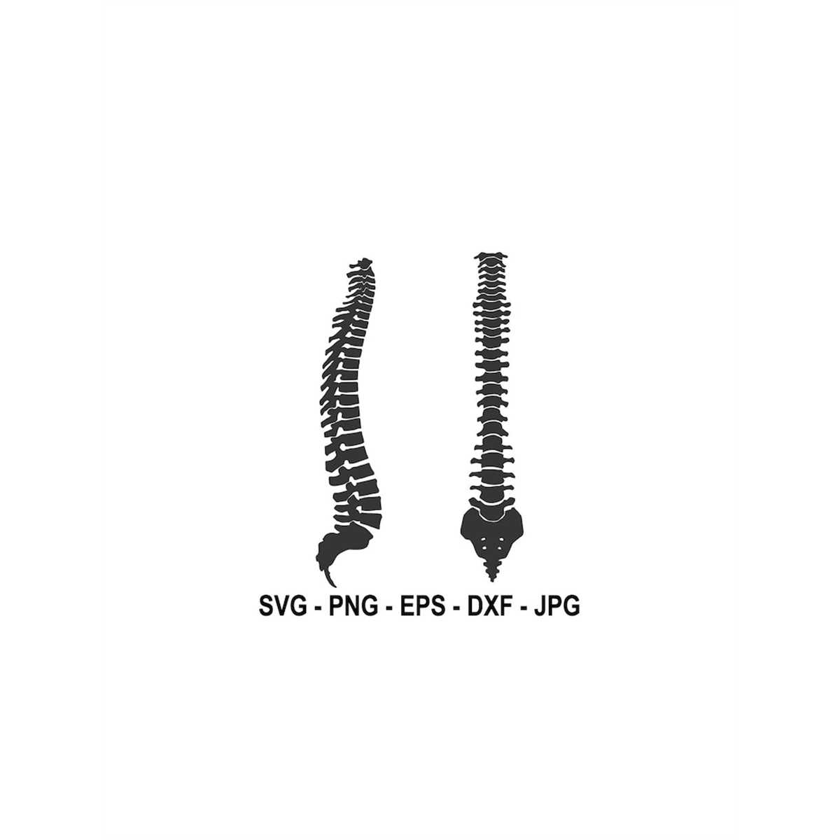 Human Spine svg,Spine svg,Cut File circut,silhouette cameo,I | Inspire Uplift