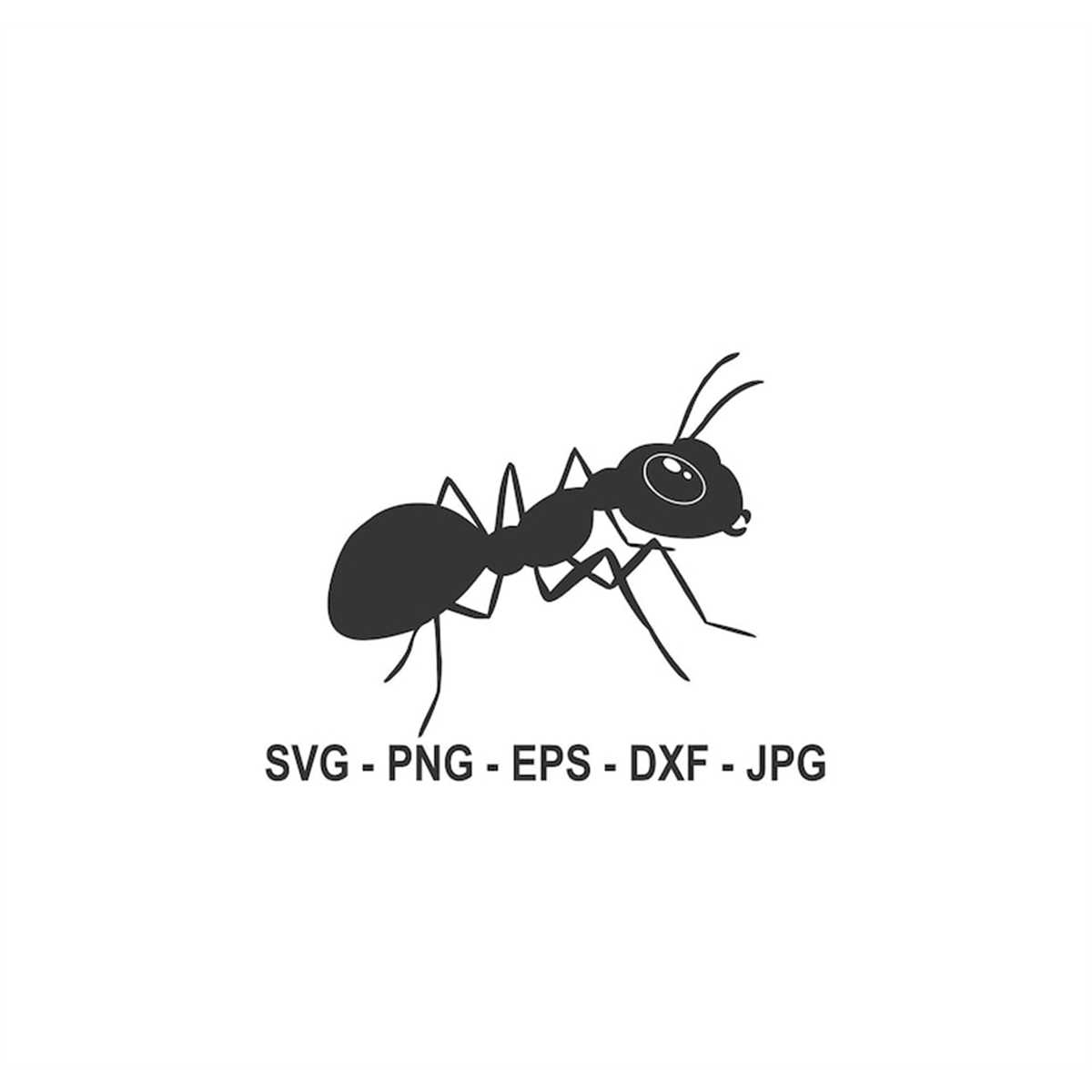 Ant svg,Instant Download,SVG, PNG, EPS, dxf, jpg digital dow | Inspire ...