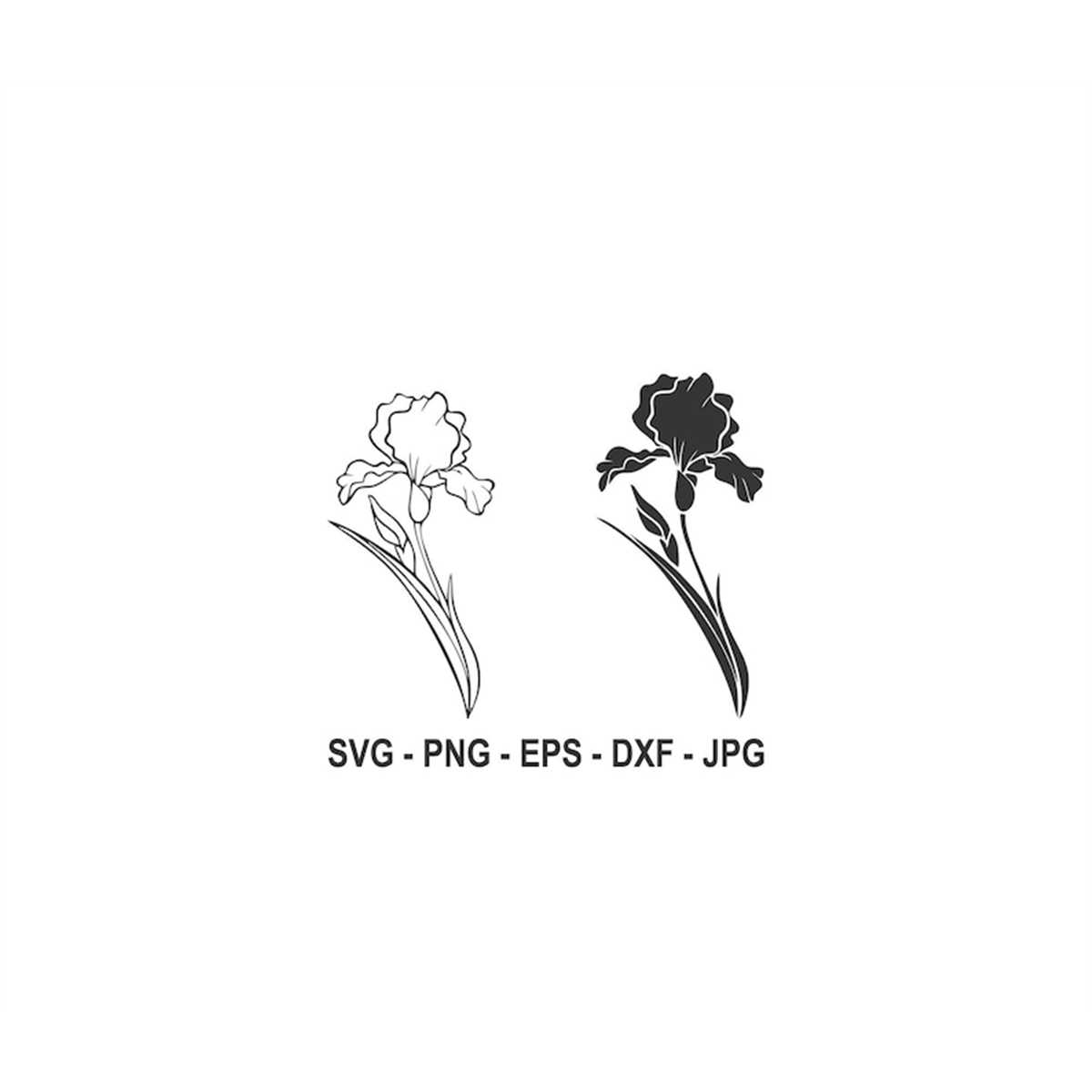 Iris flower svg,Iris silhouette,Instant Download,SVG, PNG, E | Inspire ...