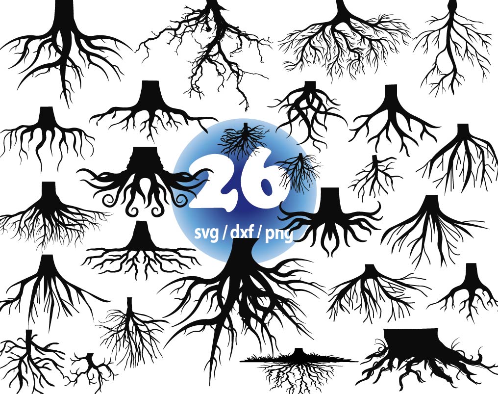 Tree Roots SVG, Bundle Collection of Roots, Roots SVG, Roots - Inspire ...