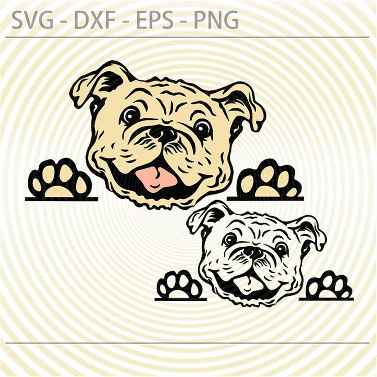 Bulldog svg design Bull dog svg Digital file Cutting file Cu | Inspire ...