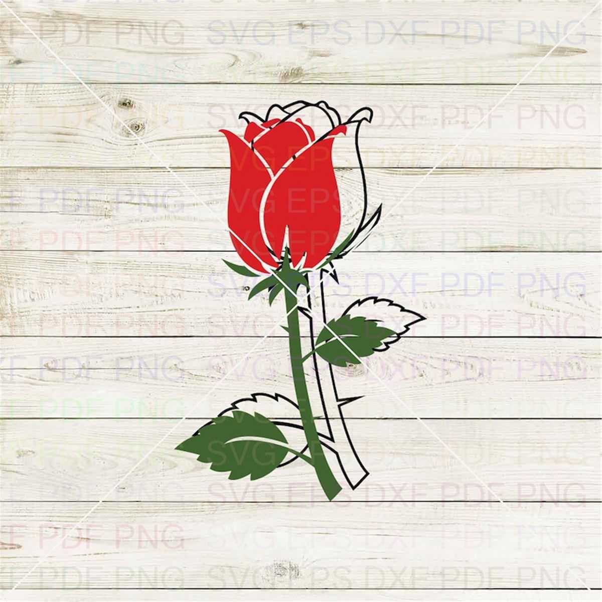 Enchanted Rose Beauty And The Beast 060 Svg Dxf Eps Pdf Png, | Inspire ...