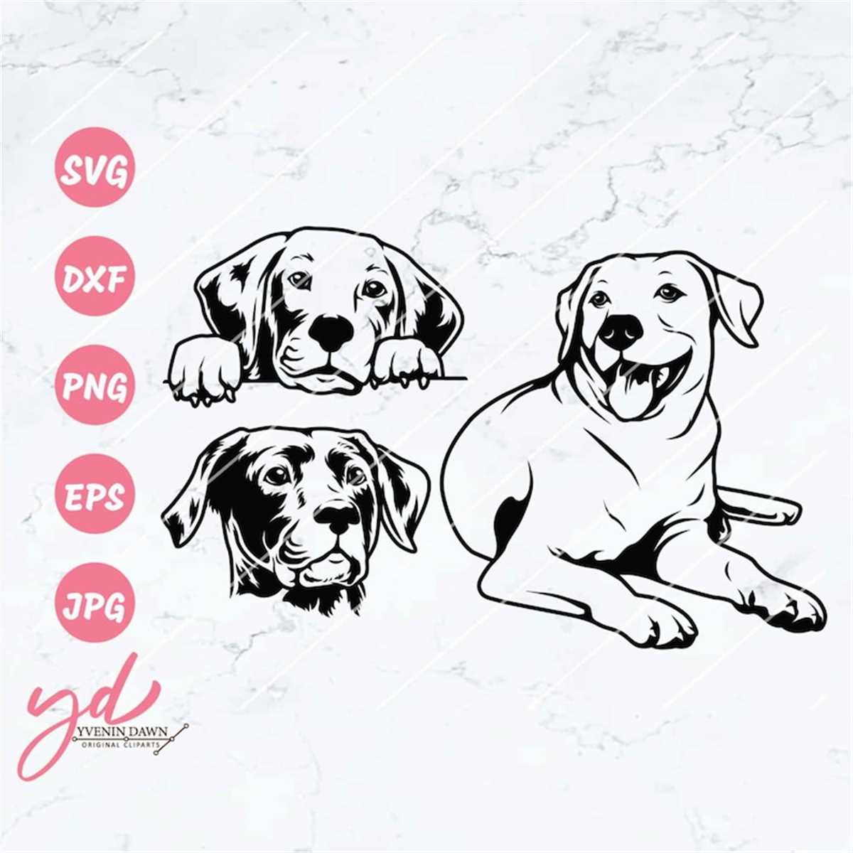 Labrador Svg | Peeking Labrador Svg | Black Labrador Svg | D - Inspire ...