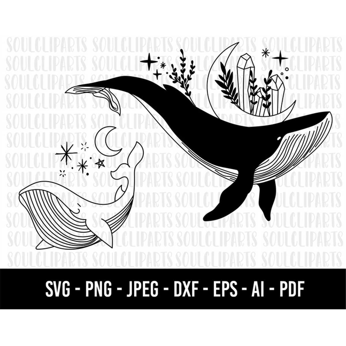 COD85- Whale SVG file, Whale Cut File, Whale Floral SVG file | Inspire ...