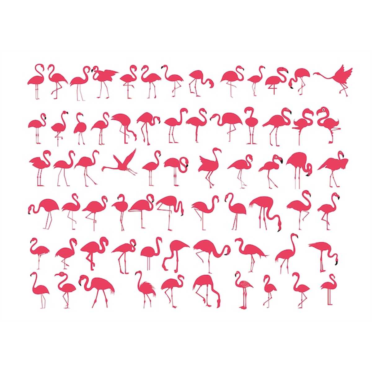 FLAMINGO Bundle SVG, FLAMINGO Clipart, Flamingo Svg cut file | Inspire ...