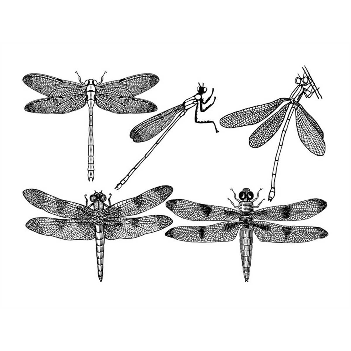 DRAGONFLY SVG BUNDLE, Dragonfly Svg Cut Files for Cricut, Dr - Inspire ...