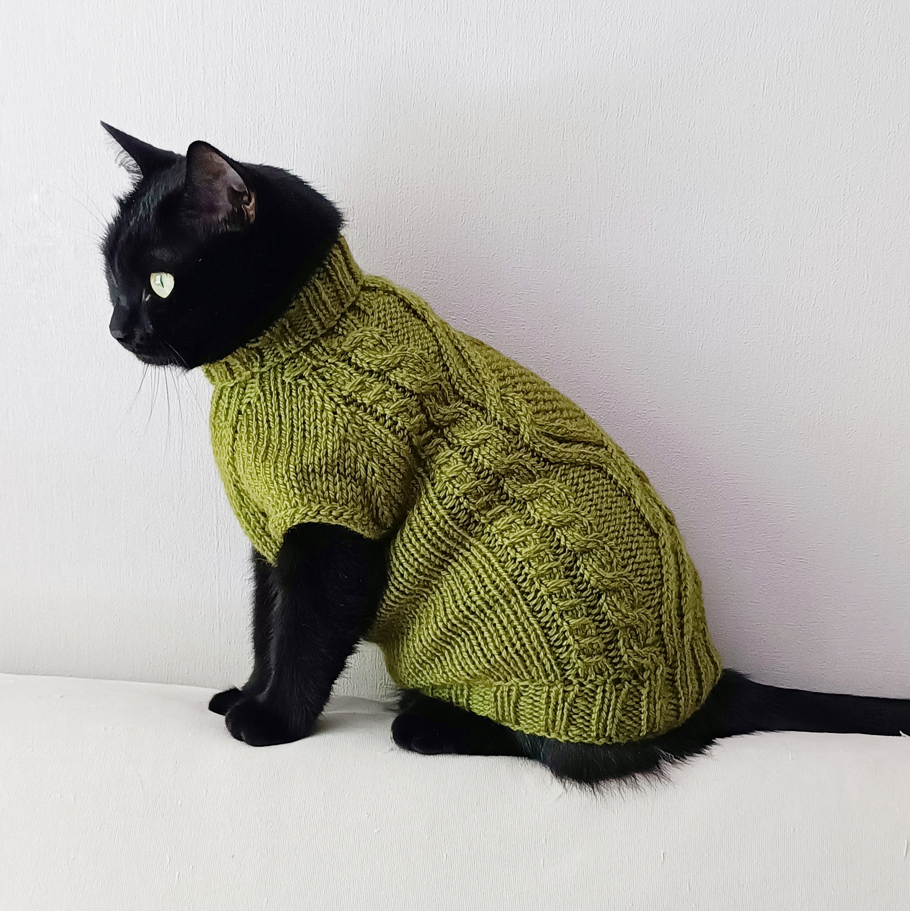 Sweater for cats Pets clothes jumper Cat clothes Cat sweater | Inspire ...