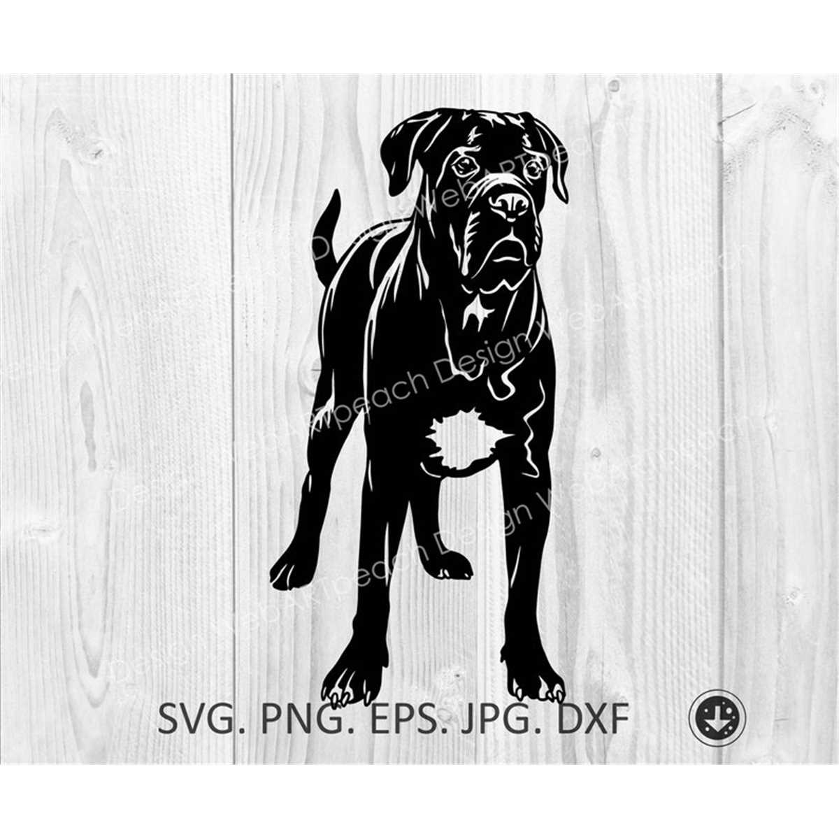Cane Corso Svg, Dog Svg, Cane Corso Puppy Cut Files, Cane Co | Inspire ...