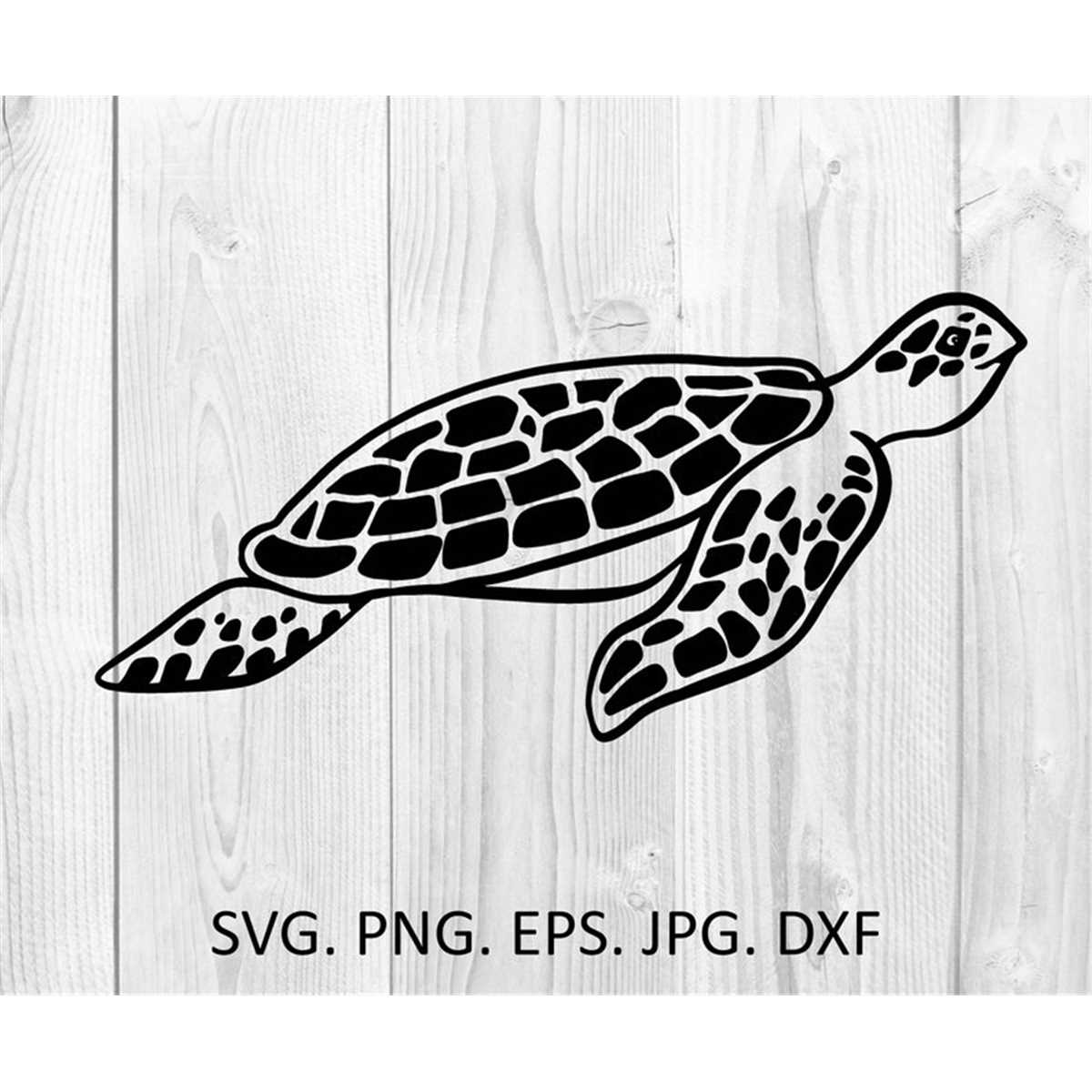 Turtle SVG, Beach Summer SVG, Cricut, Clipart, Cricut SVG, S | Inspire ...