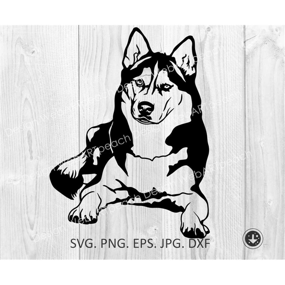 Husky SVG,Siberian Husky SVG,Alaska SVG,Blye Eyes Dog Svg,Ly | Inspire ...