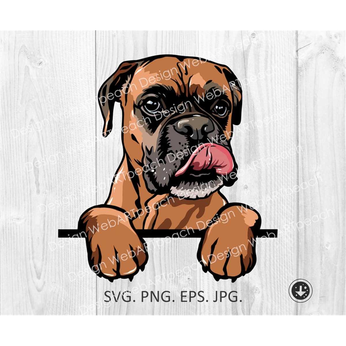 Boxer svg,Peeking Boxer Dog breed,Boxer with tongues,Cute fu | Inspire ...