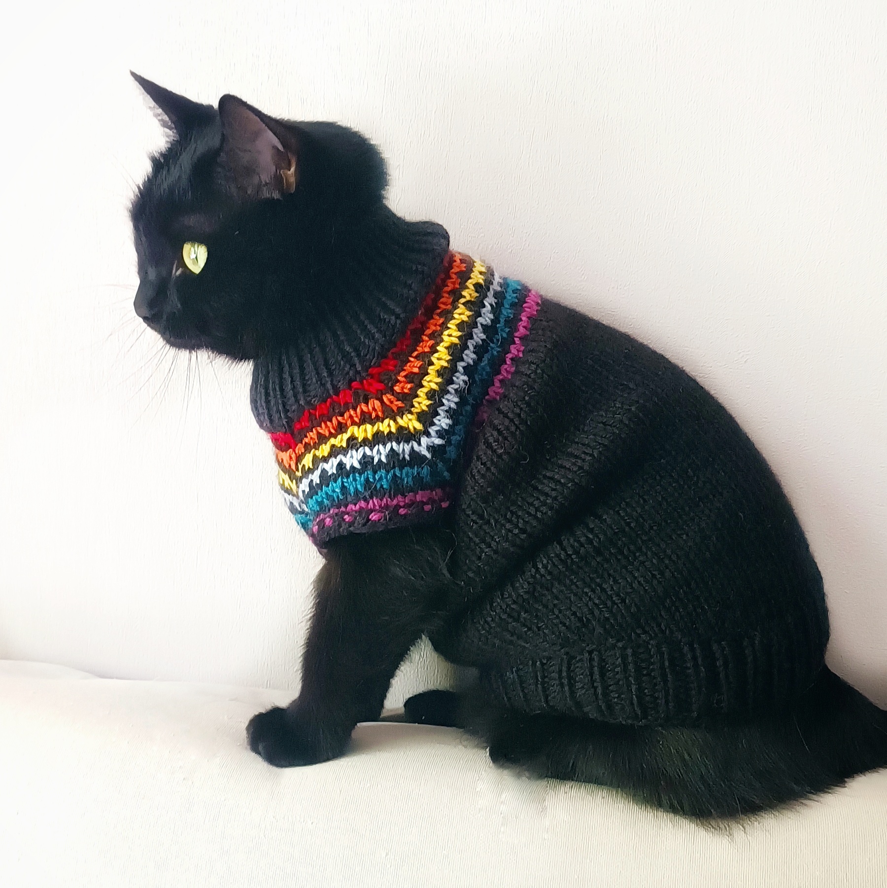 Black sweater for cats Pet clothes Turtleneck cats sweaters - Inspire ...