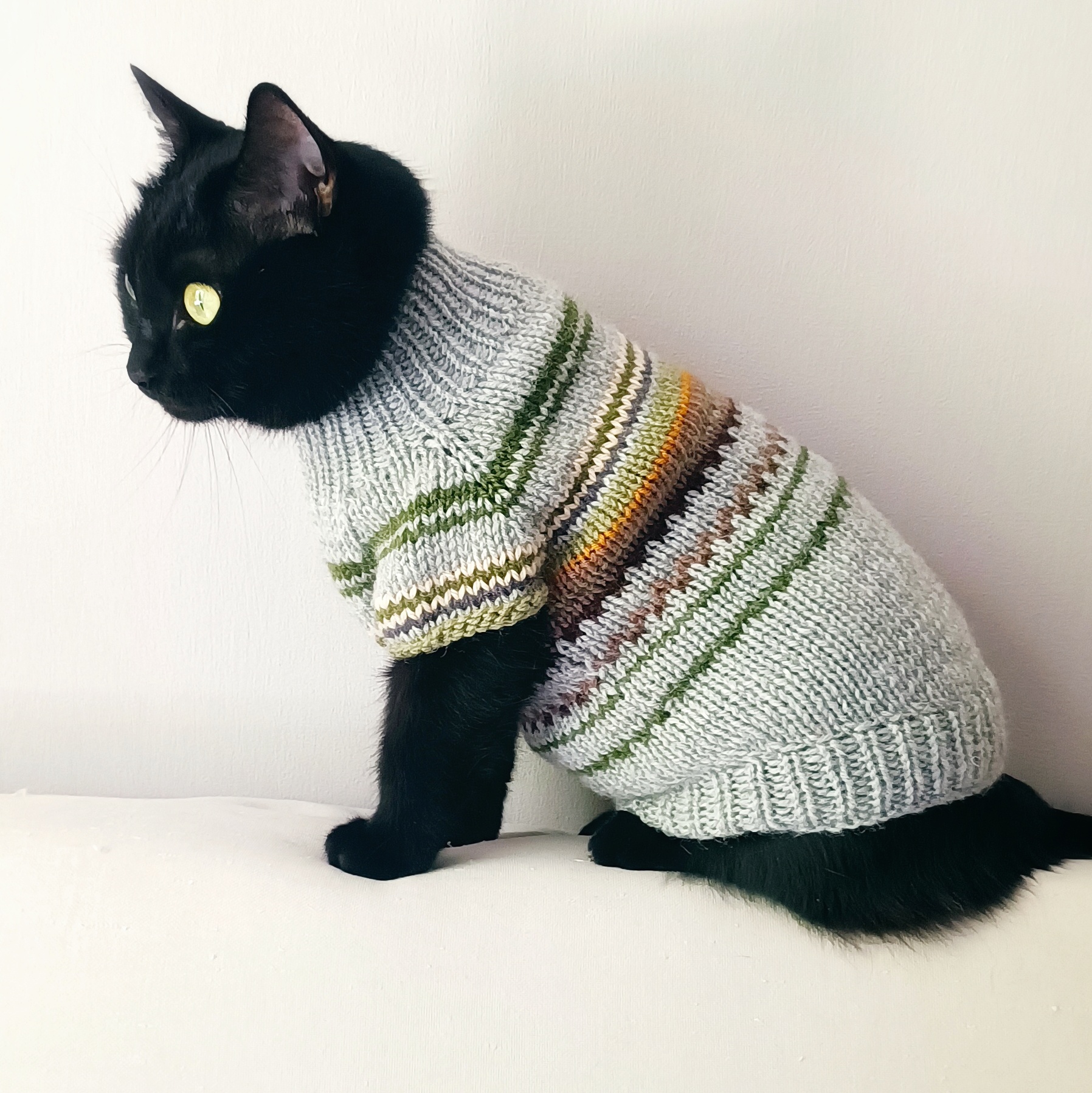 Cat sweater Jumper for cat Pet clothing Sweater for pet Dog | Inspire ...