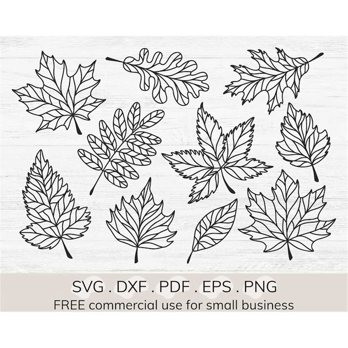 Fall leaves bundle svg, Maple leaf svg, Autumn leaves clipar | Inspire ...