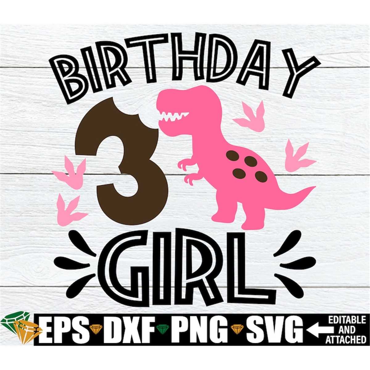 3rd Dinosaur Birthday Girl, Dinosaur Birthday Girl svg, Dino | Inspire ...