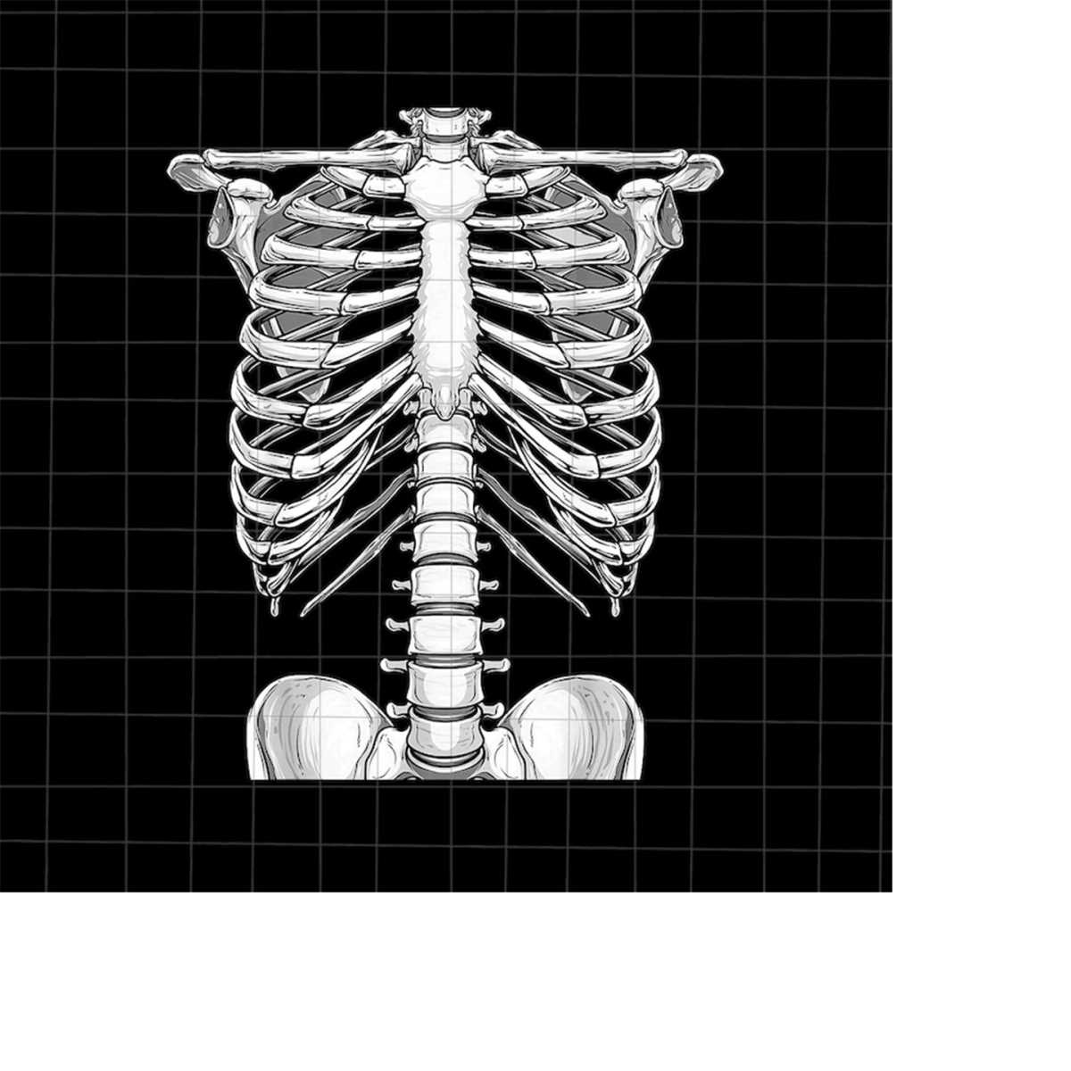 Skeleton Rib Cage Halloween Png, Skeletons Halloween Png, Sk | Inspire ...