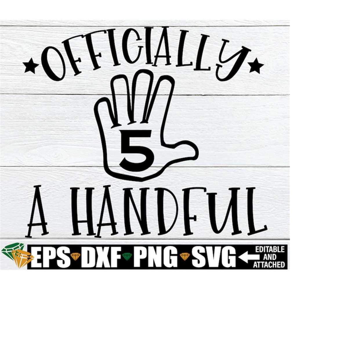 Officially A Handful, 5th Birthday, Birthday, Officially 5, | Inspire ...