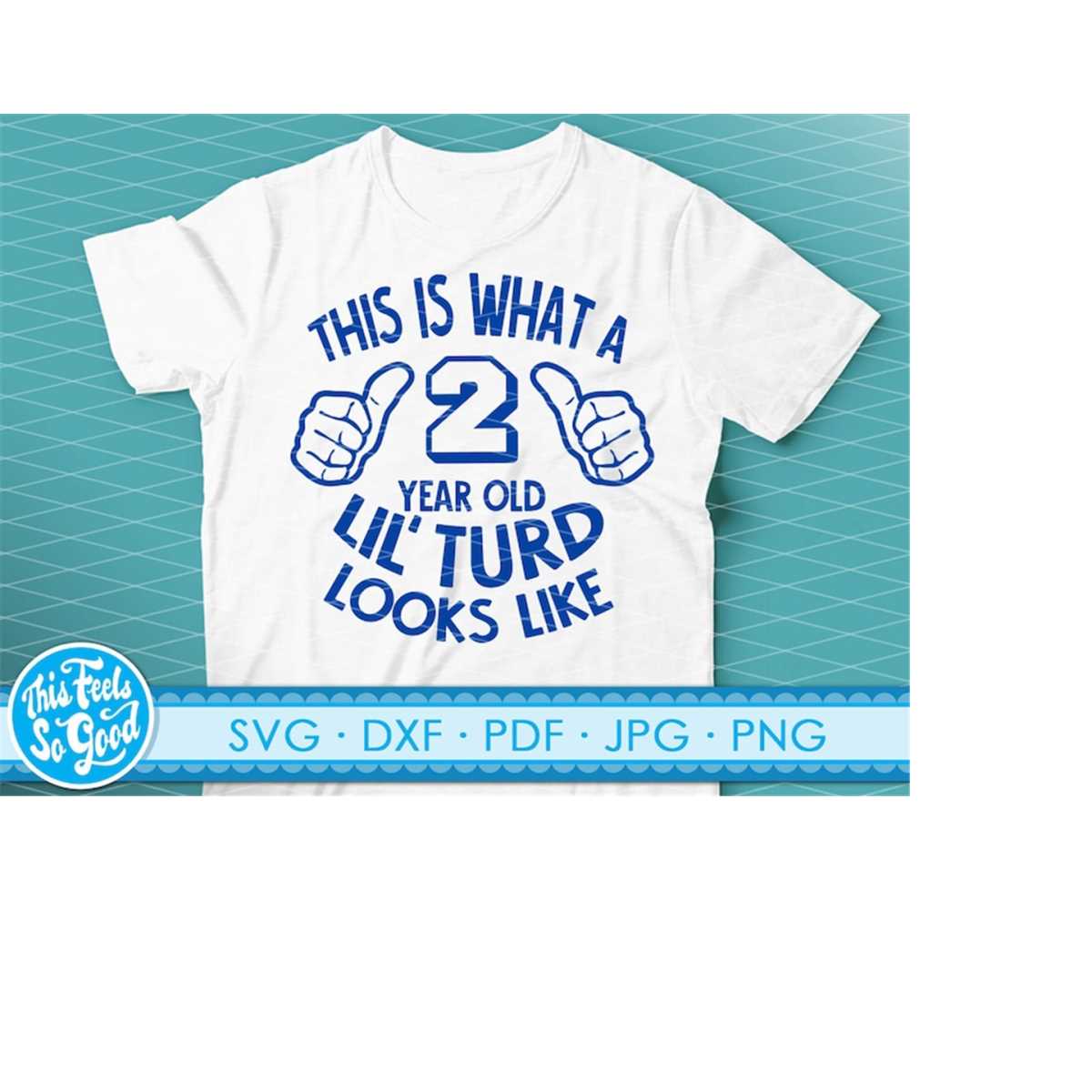 2 years old svg, 2nd birthday SVG, second birthday svg, ter | Inspire ...