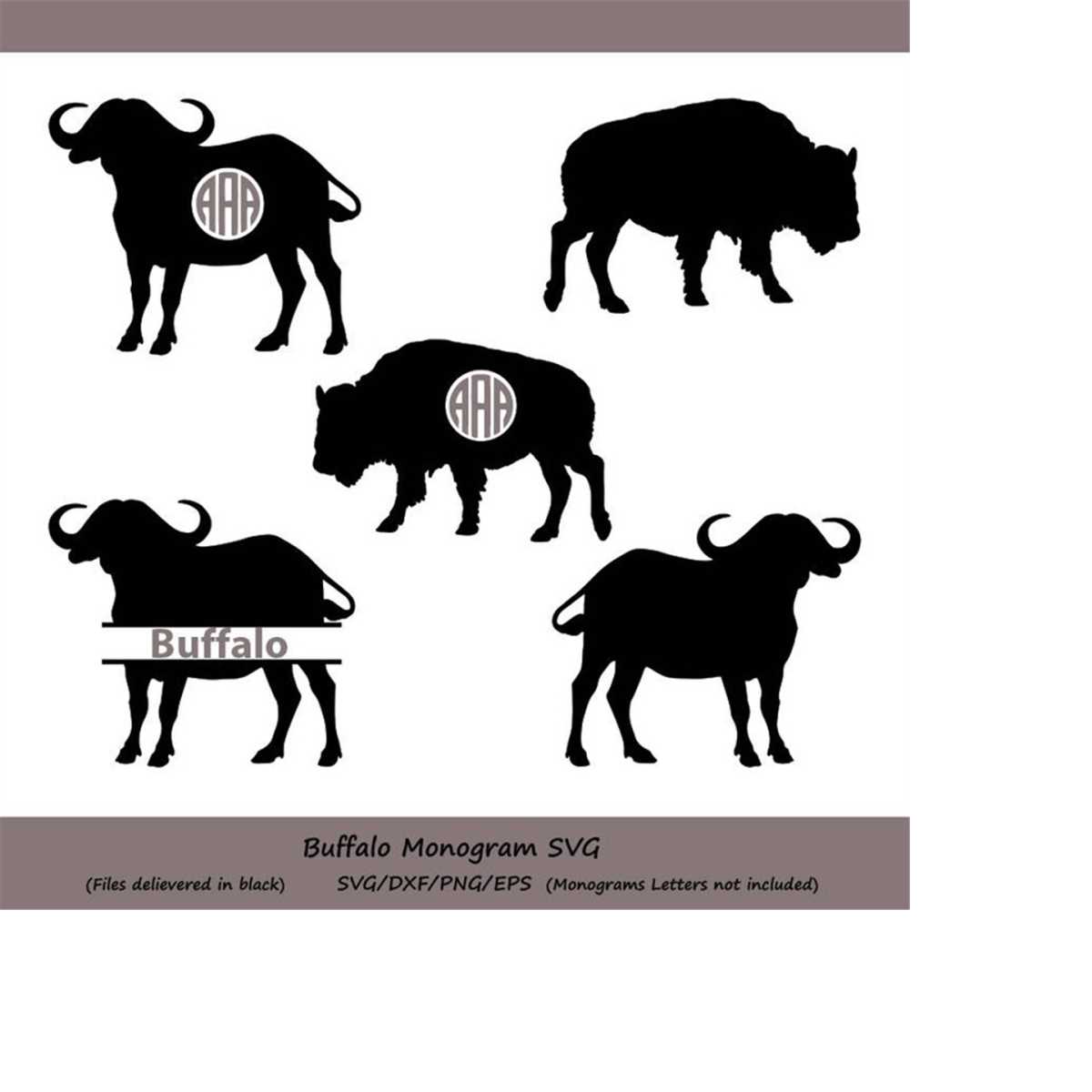 Buffalo Svg, Buffalo Monogram SVG, Buffalo silhouette, Bison | Inspire ...