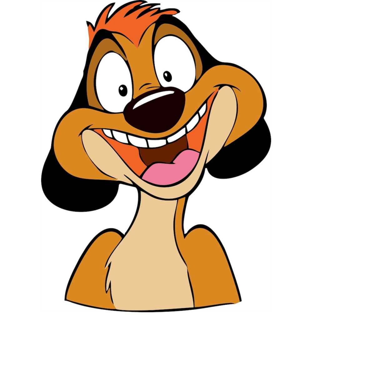 QualityPerfectionUS Digital Download - The Lion King Timon - | Inspire ...