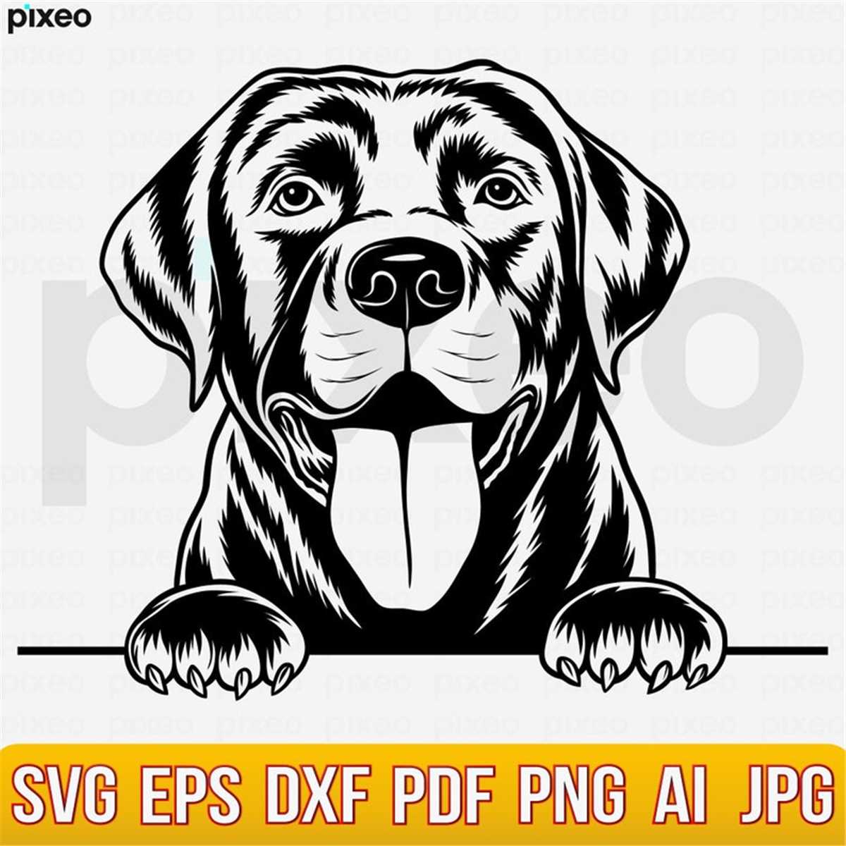 Labrador Svg, Labrador Retriever Svg, Labrador Clipart, Labr | Inspire ...