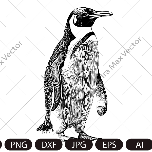 Penguin Svg, King Penguin SVG, Sea Animal SVG, Penguin Silho - Inspire ...