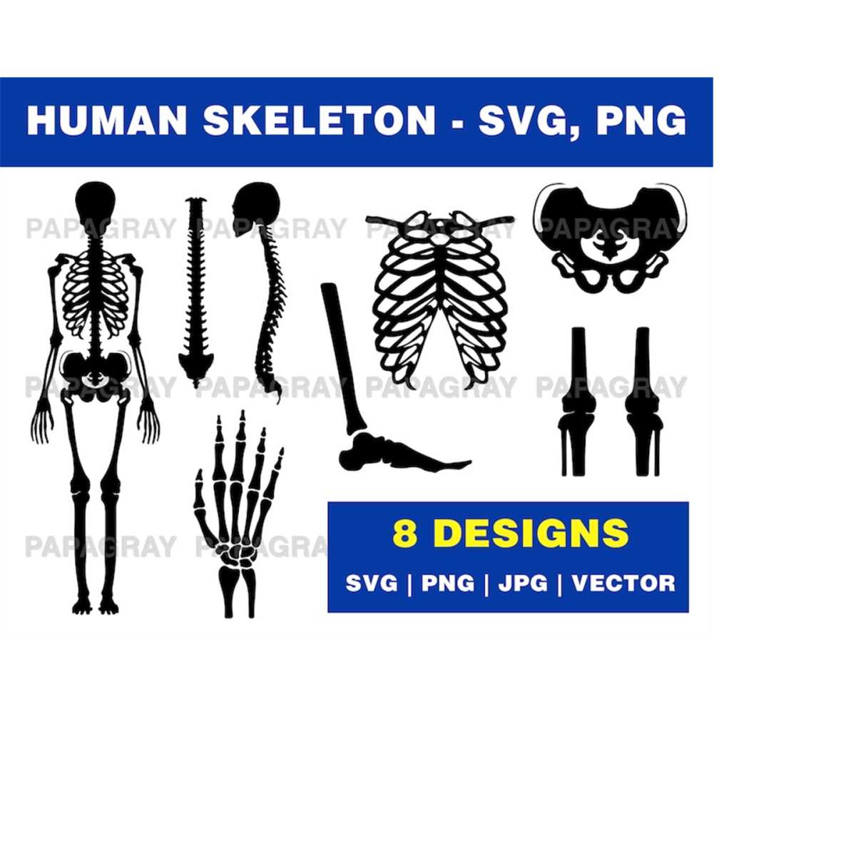 Human Skeleton Silhouette SVG Pack - 8 Designs | Digital Dow | Inspire ...