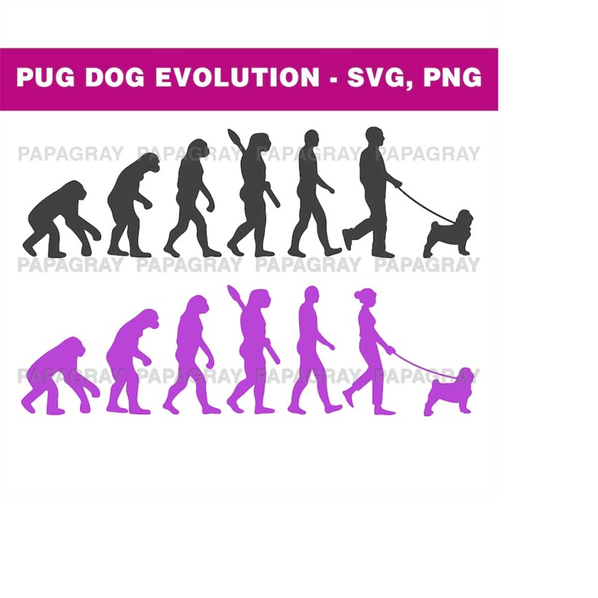 Pug Dog SVG Evolution | Digital Download | Pug SVG, Pug Dog | Inspire ...