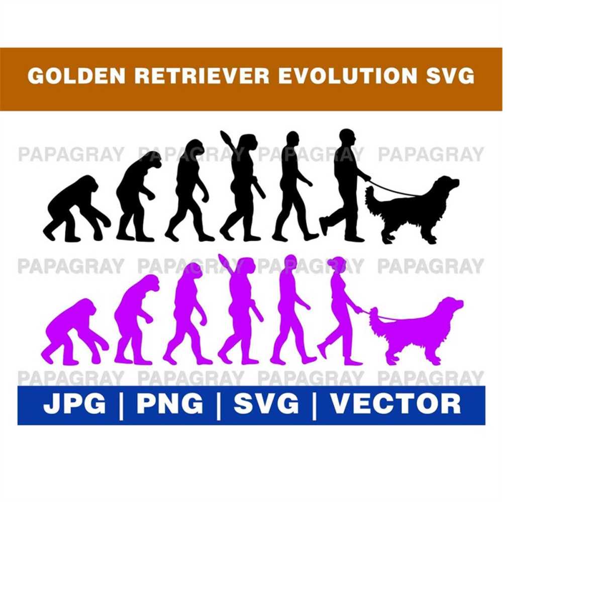 Golden Retriever Dog SVG Evolution Graphic | Digital Downloa | Inspire ...