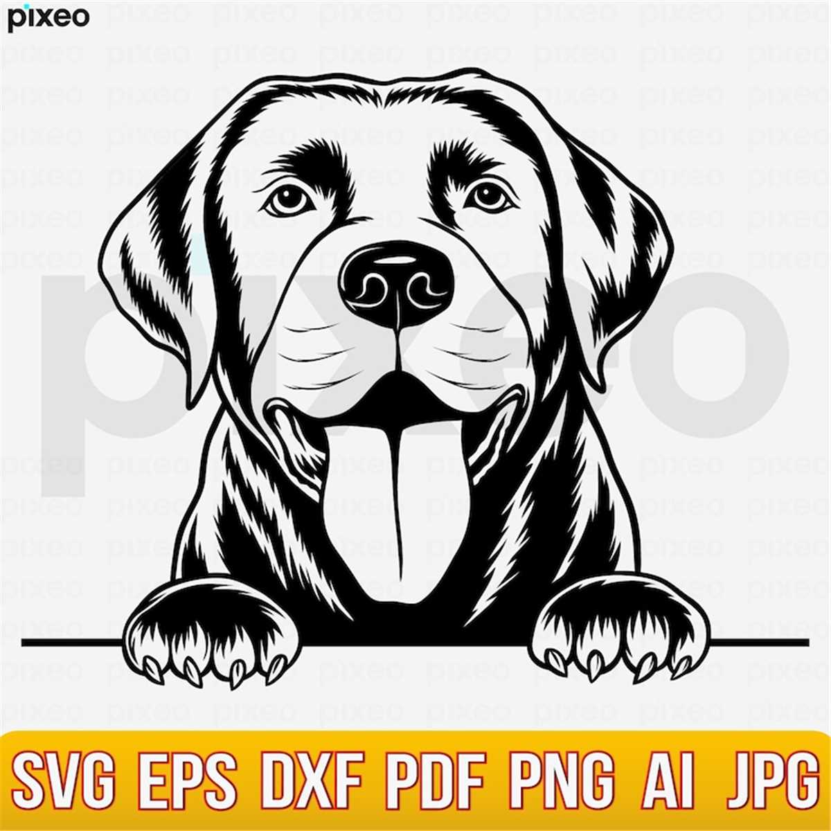 Labrador Svg, Labrador Retriever Svg, Labrador Clipart, Labr | Inspire ...