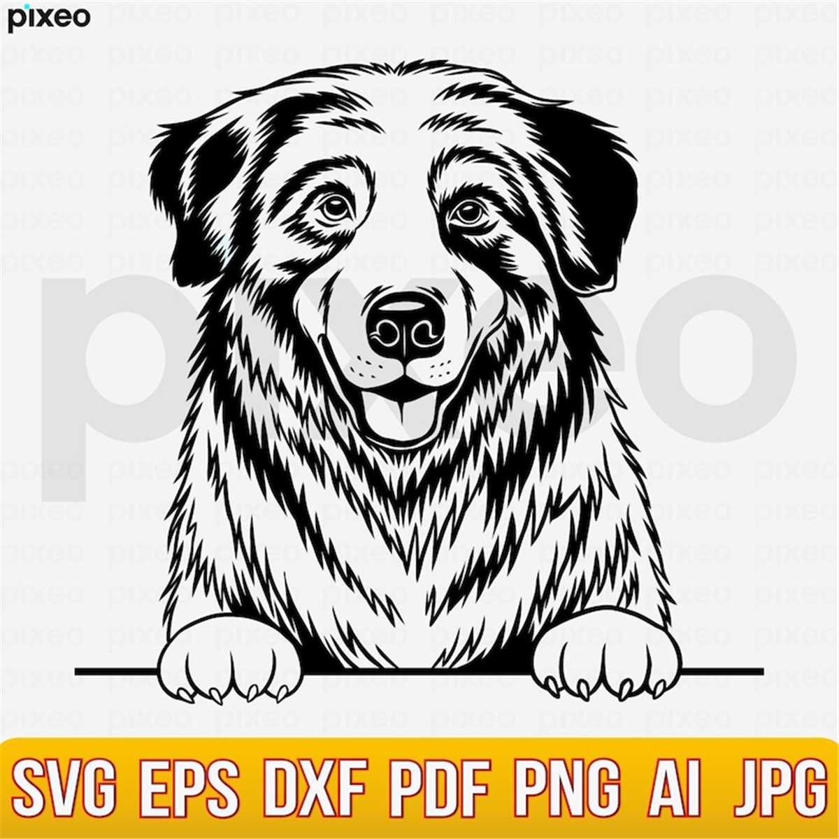 Australian Shepherd Svg, Aussie Svg, Aussie Clipart, Dog Svg - Inspire ...