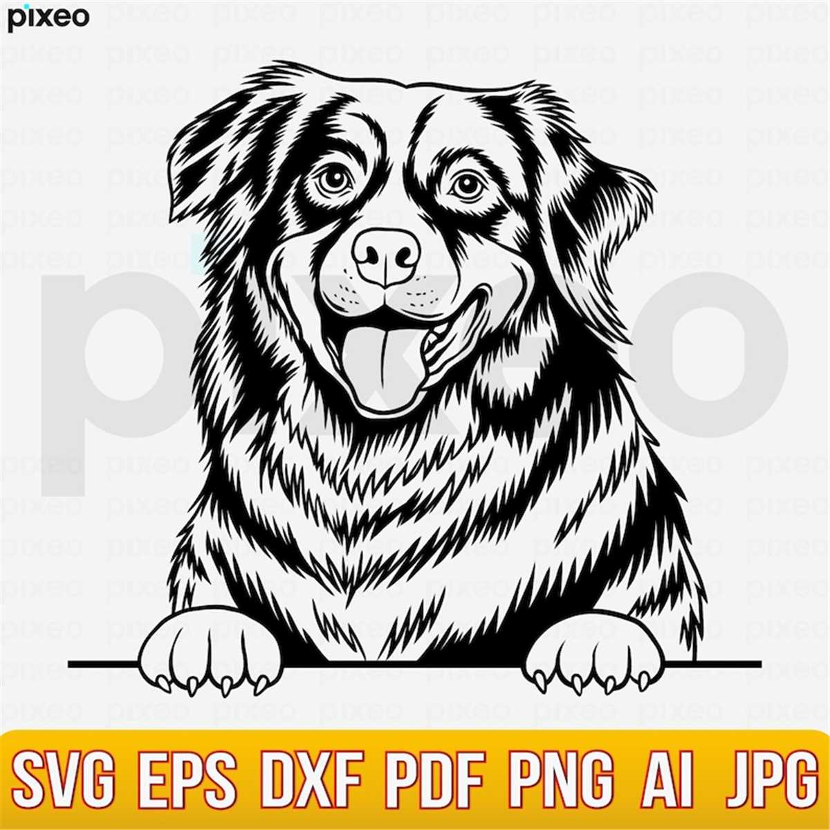 Australian Shepherd Svg, Aussie Svg, Aussie Clipart, Dog Svg - Inspire ... Australian Shepherd Svg, Aussie Svg, Aussie Clipart, Dog Svg - Inspire ...