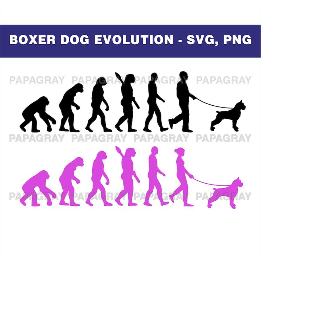 Boxer Dog SVG Evolution | Digital Download | Boxer Dog SVG, | Inspire ...