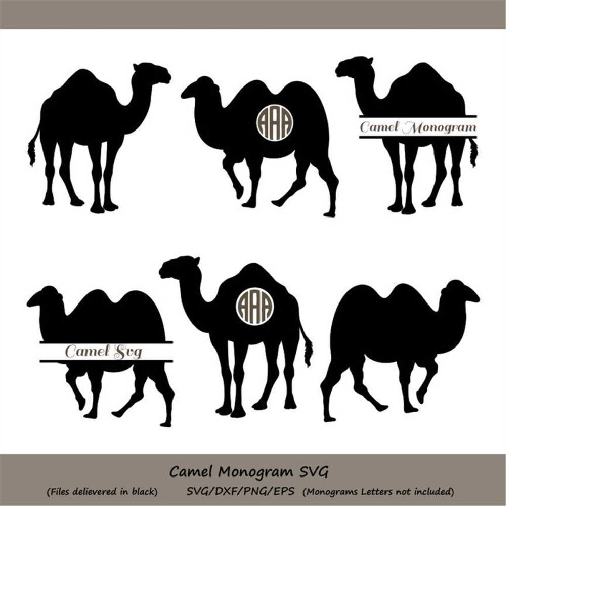 Camel Svg, Camel monogram svg, camel clipart, Animal Svg, ca | Inspire ...