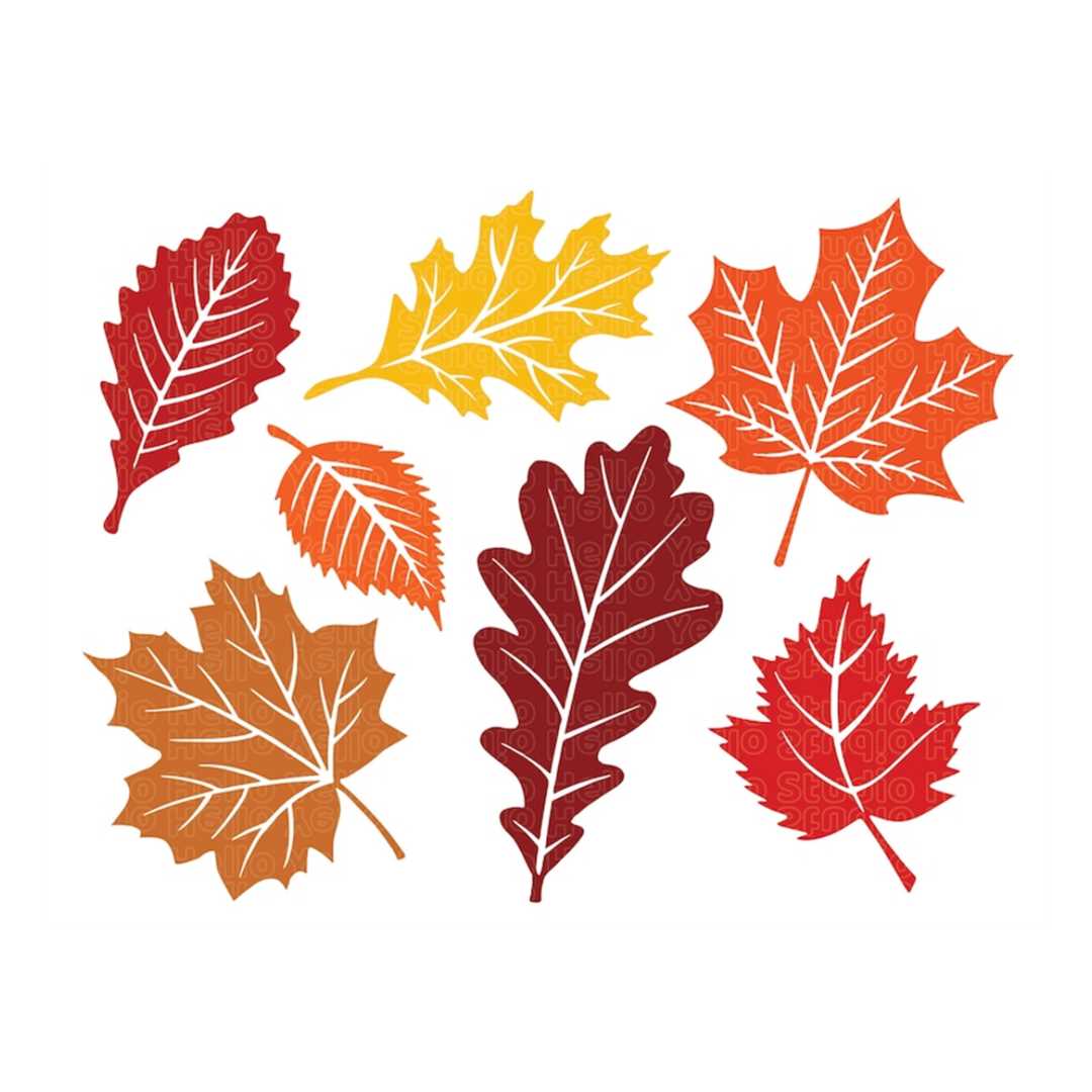 Fall Leaves Svg, Fall svg, Fall leaf svg bundle, Fall png, d - Inspire ...