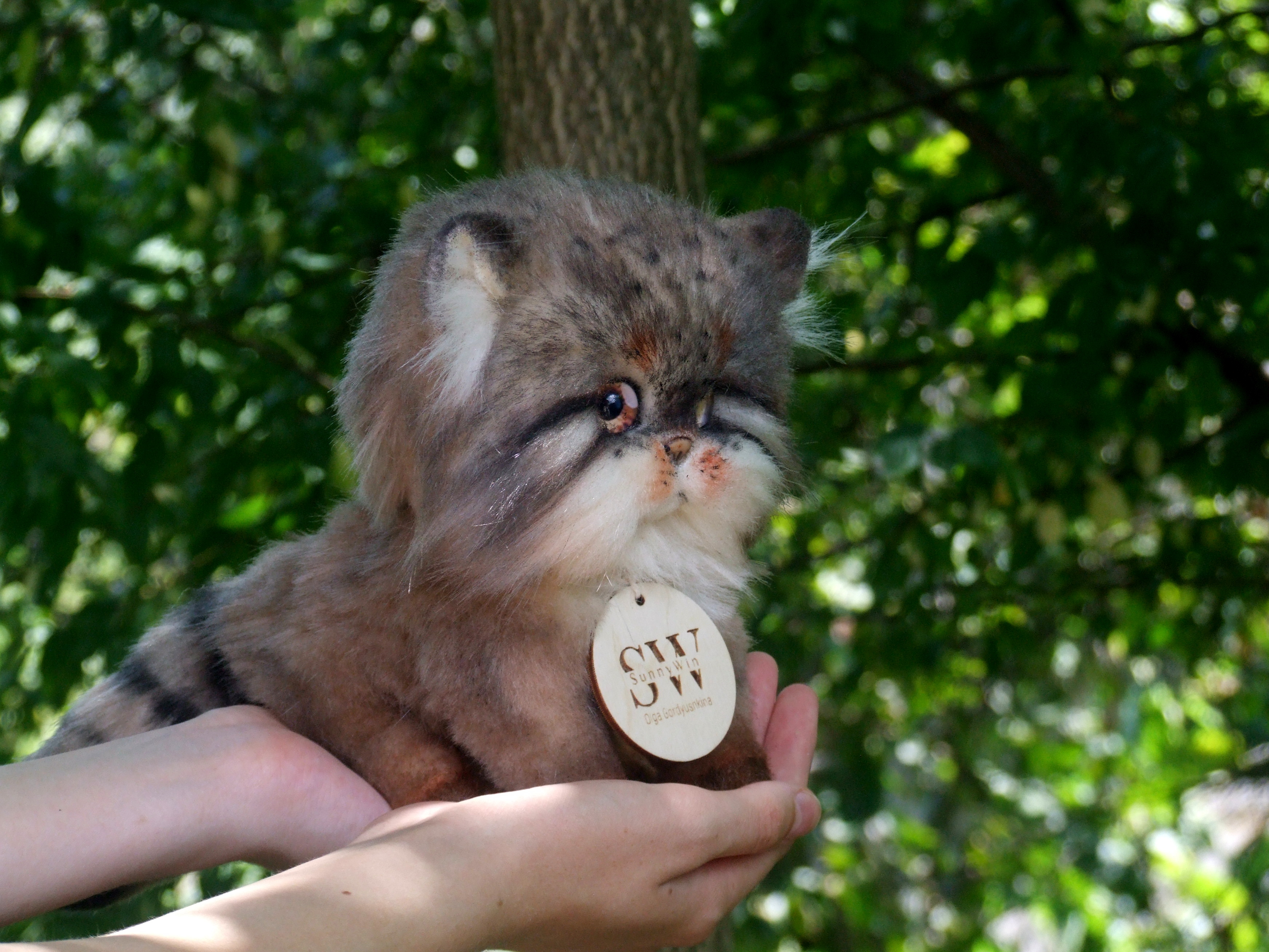 Manul,Cat,OOAK Artdoll,Realistic toys,kitten | Inspire Uplift