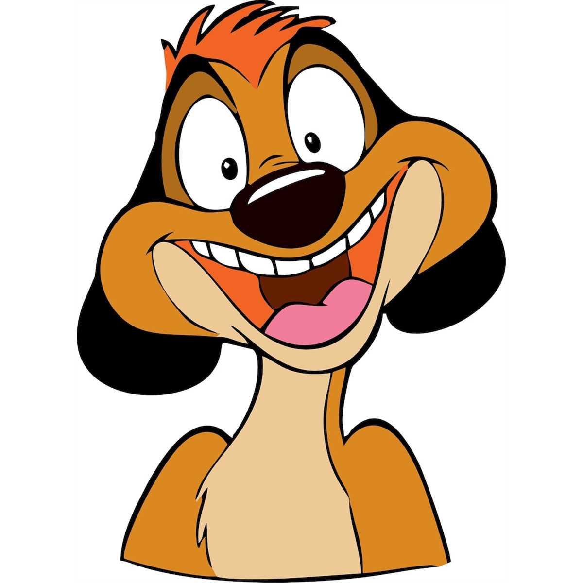 QualityPerfectionUS Digital Download - The Lion King Timon - - Inspire ...