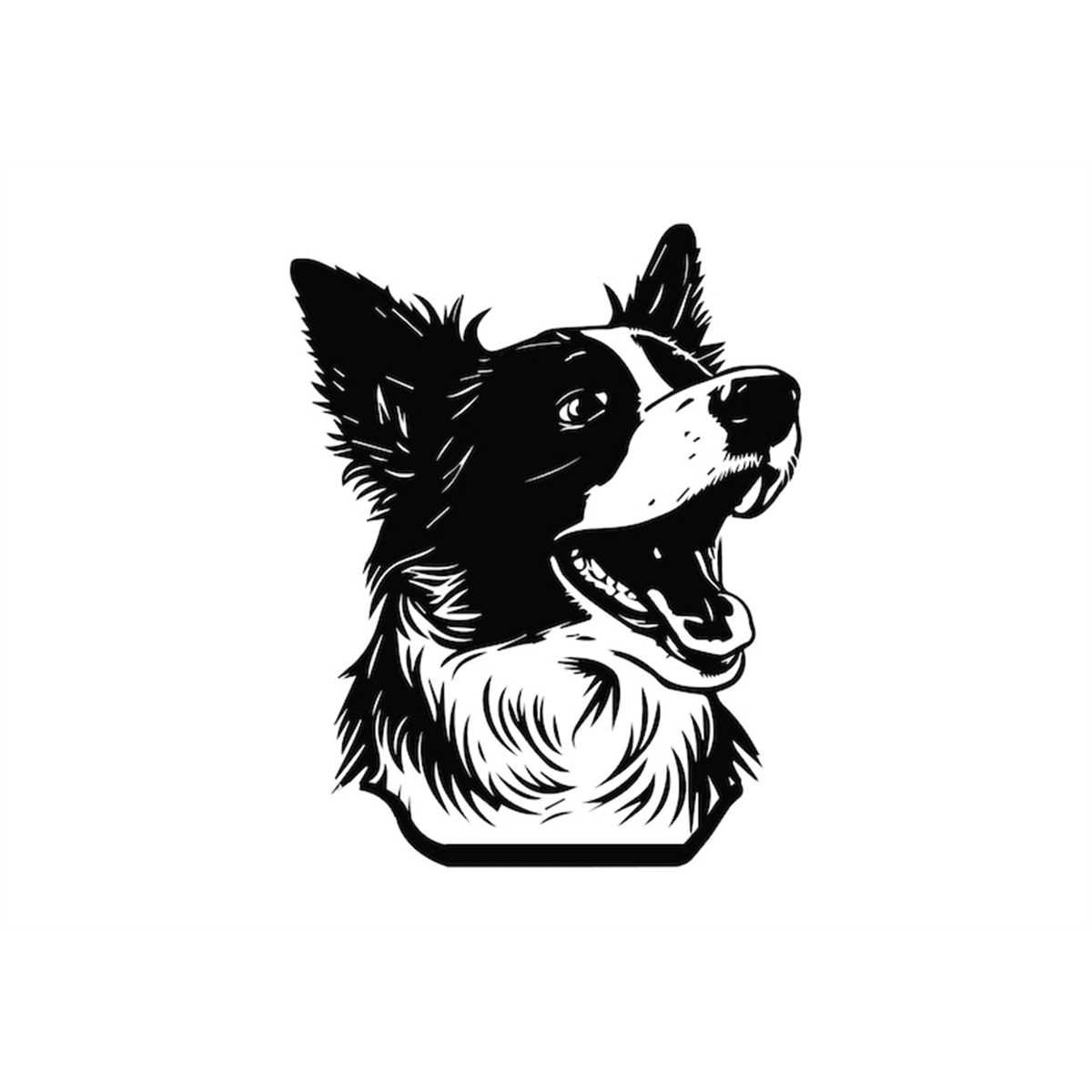 BORDER COLLIE HEAD Svg, Border Collie Head Clipart, Border C - Inspire ...